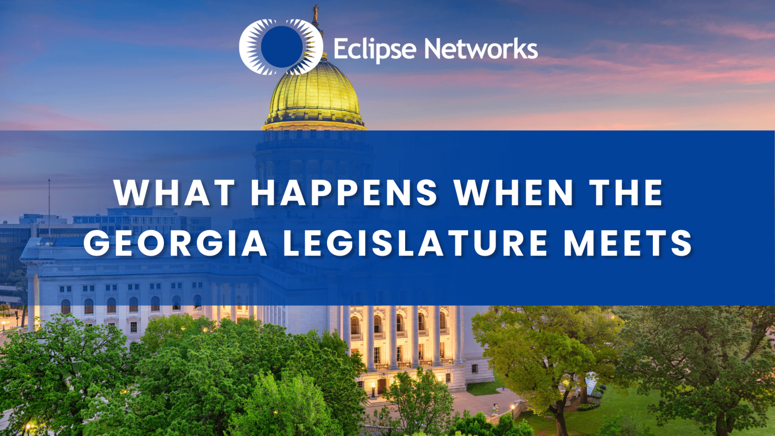 What Happens When the Georgia Legislature Meets, and Why Should Local ...
